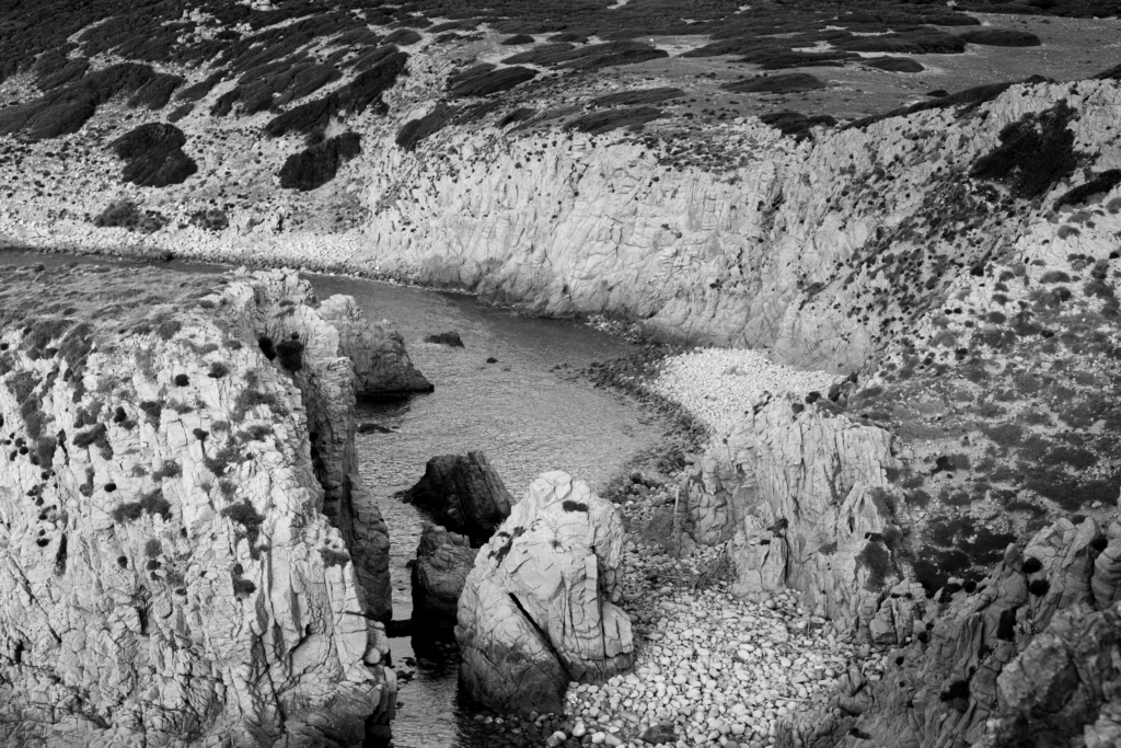 JULIETTE RENARD PHOTOGRAPHE - Clémence Cardot - Photographe